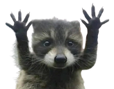 DeluxHost.net | High Performance | [PRE-ORDER] Exclusive VPS Deals | START 7€ ANNUAL | NED ...